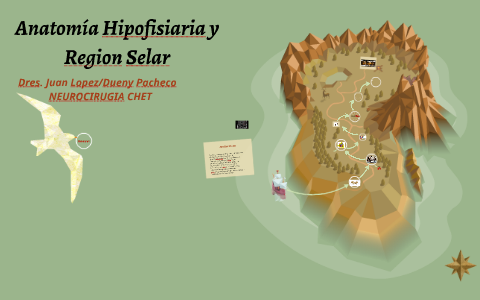 ANATOMIA DE LA REGION SELAR by juan lopez on Prezi