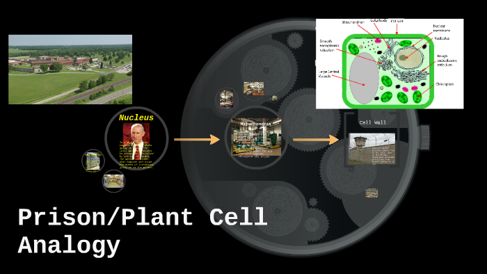 Prison/Plant Cell Analogy by zak riedel on Prezi