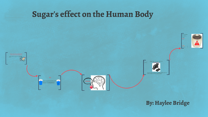 Sugar and its effect on the human body by Haylee Bridge