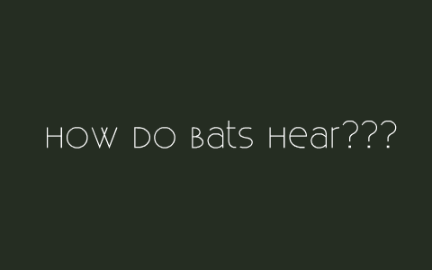 How Do Bats Hear??? by Carlee Henry on Prezi