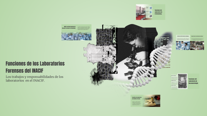 Funciones de los Laboratorios Forenses del INACIF by Gerson Daniel ...