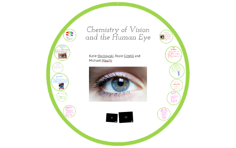 Chemistry of the Human Eye/Vision by Rosie Critelli on Prezi