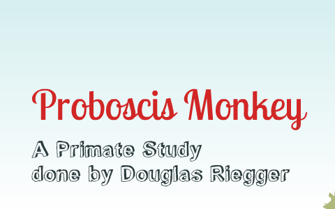 Proboscis Monkey Primate Project by Douglas Riegger
