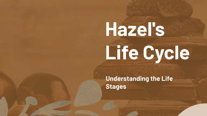 Hazel's Life Cycle by HAZEL WILLIAMS on Prezi