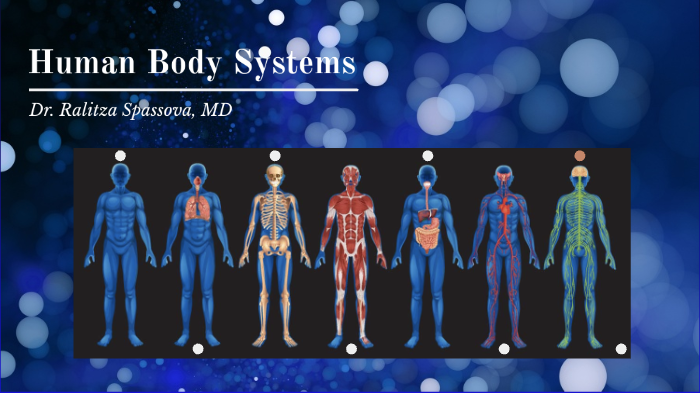 Human Body Systems 10th Grade Biology by Rali Spa on Prezi