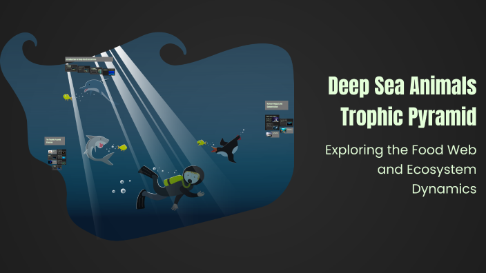 Deep Sea Animals Trophic Pyramid by Brandon Way on Prezi