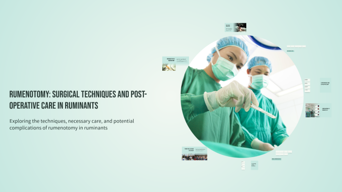 Rumenotomy: Surgical Techniques and Post-operative Care in Ruminants by ...