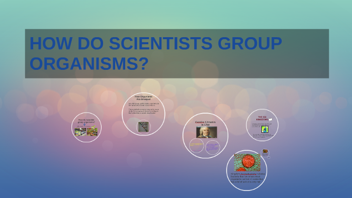 HOW DO SCIENTISTS GROUP ORGANISMS? by zaina faheem on Prezi