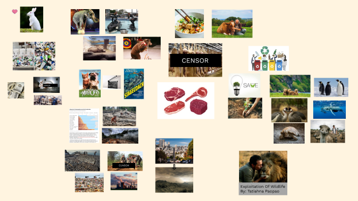 Exploitation Of Wildlife by Tatiahna Paopao on Prezi