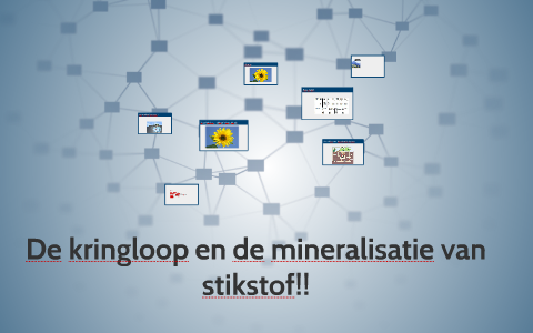 De kringloop en de mineralisatie van stikstof!! by Erik Sommer on Prezi