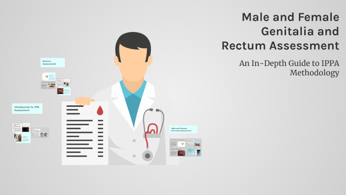 Male and Female Genitalia and Rectum Assessment by Galarpe, Nica May P ...