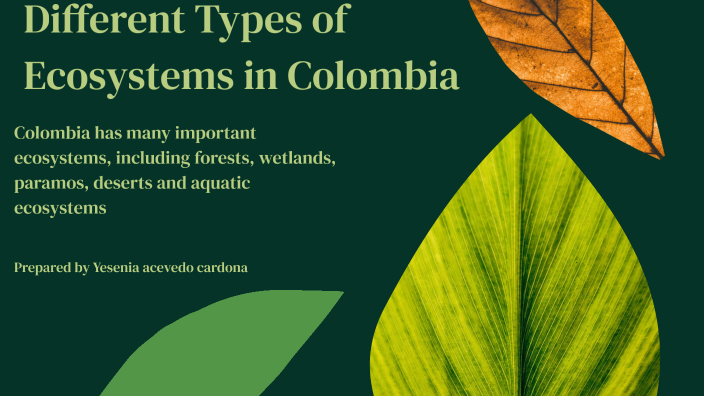 Different Types of Ecosystems in Colombia by yosenith yesenia acevedo ...