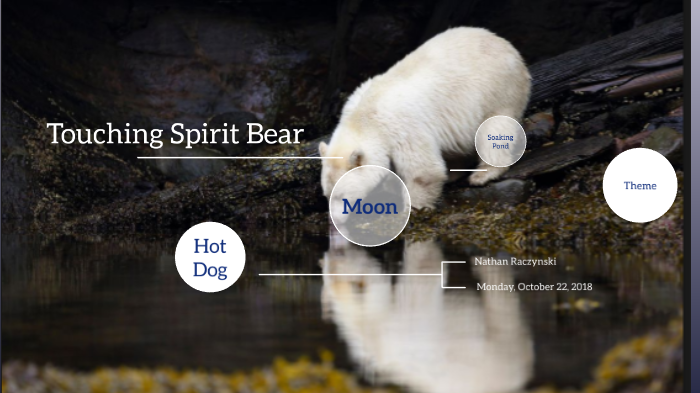 Spirit Bear by Nathan Raczynski on Prezi