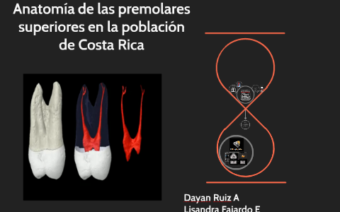 Antes de aprender cualquier técnica endodóntica el conocimie by Dayan ...
