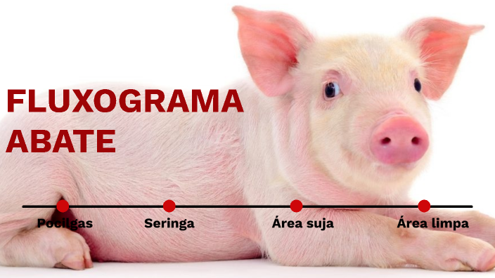 Fluxograma abate by Jéssica Almeida on Prezi