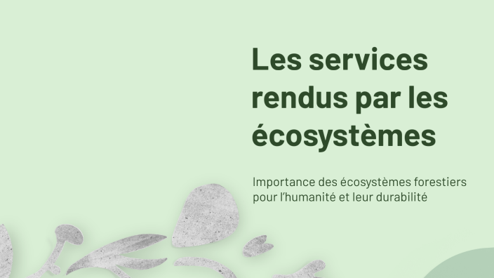 Les services rendus par les écosystèmes by louis Sebert on Prezi