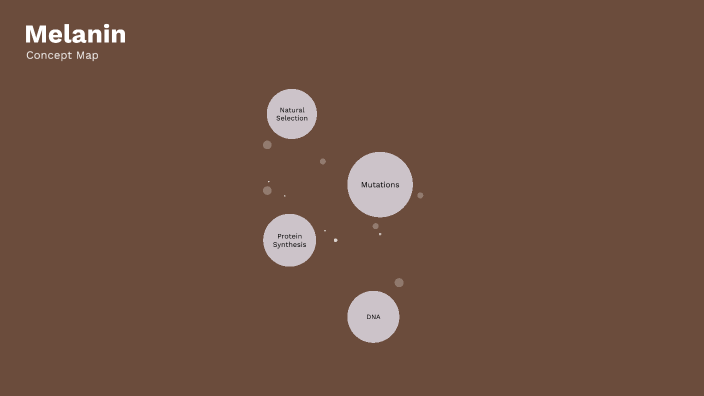 Melanin Concept Map by Julian Fitta on Prezi