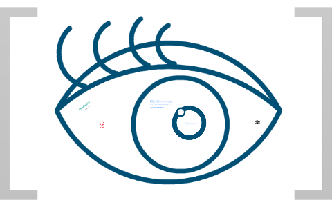 Oculesics by Deandrea Newsome on Prezi