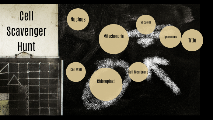 cell Scavenger Hunt by Derrick Satchell on Prezi