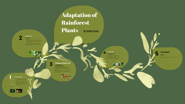 Adaptation of Rainforest Plants by Fatimah Farhan on Prezi
