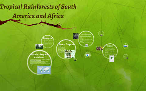 Tropical Rainforests of South America and Africa by Python . on Prezi