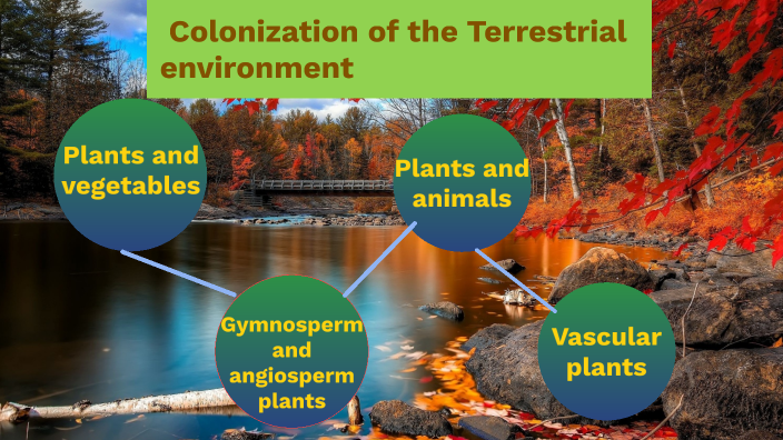 Colonization of the Terrestrial environment by Juan Francisco Robles on ...