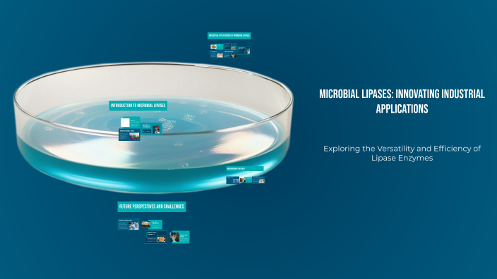 Microbial Lipases: Innovating Industrial Applications by ayan isse on Prezi