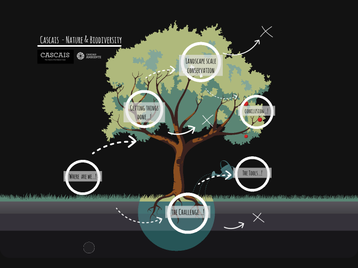 Nature Restoration in Europe: the Role of Protected Areas by on Prezi