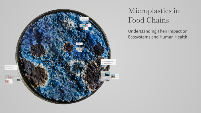 Microplastics in Food Chains by Viltautas Sony on Prezi