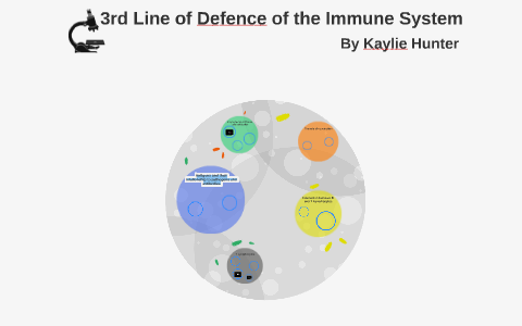 3rd Line of Defence of the Immune System by Kaylie Hunter on Prezi