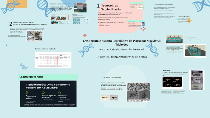 CRESCIMENTO E ASPECTOS REPRODUTIVOS DO Pimelodus maculatus TRIPLOIDES ...