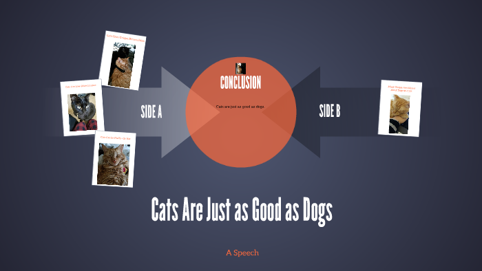 Slack, Sarah Persuasive Speech Visual Aid by Sarah Slack on Prezi