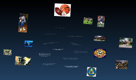 The Life of Shane Browning. by Shane Browning on Prezi