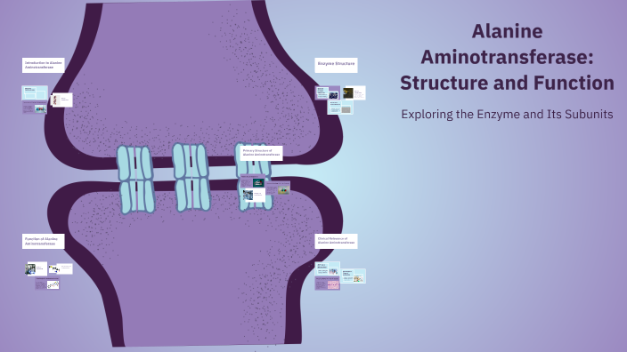 Alanine Aminotransferase: Structure and Function by Negar KhatounAbadi ...