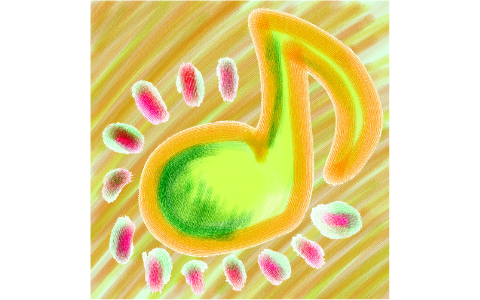 India's Groovy Tunes by Angie Ryg on Prezi