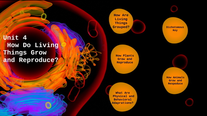 Science 5 How Living Things Grow and Reproduce by Yana Ibragimova on Prezi