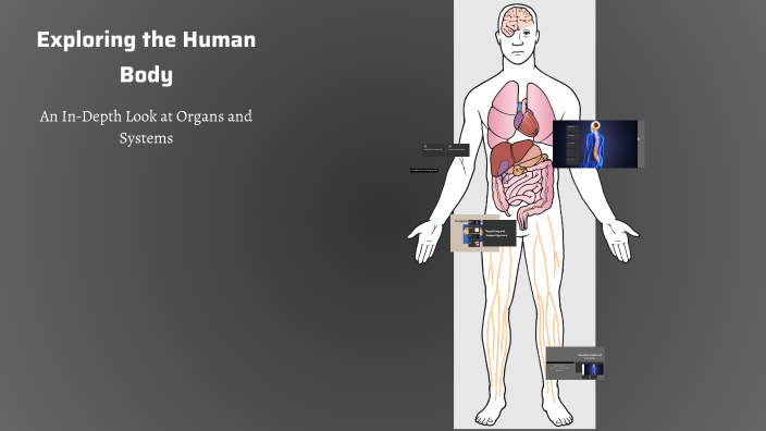 Exploring the Human Body by حسام ناجي on Prezi