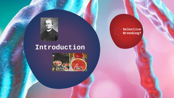 Selective Breeding by antonio damico on Prezi