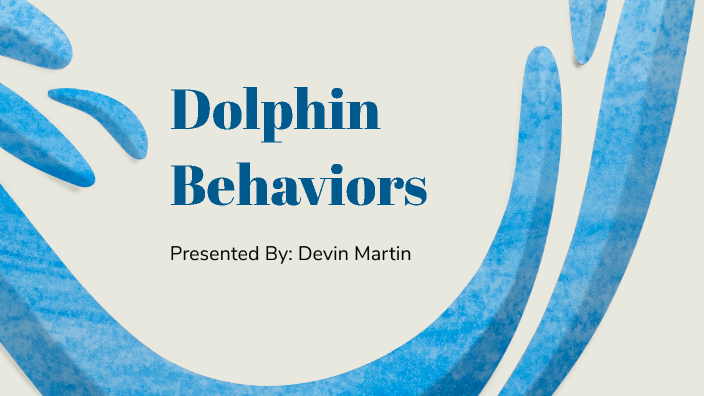 Dolphin Behaviors by Devin Martin on Prezi
