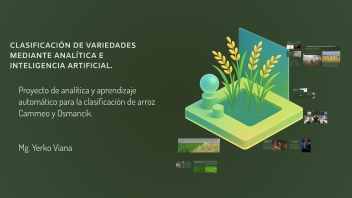 Clasificación de Variedades de Arroz mediante Analítica e Inteligencia ...