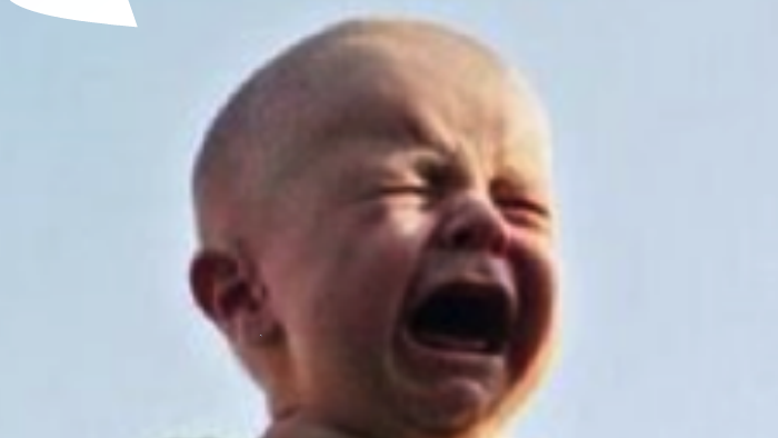 Preparing for CPT and OPT by Wesley Lipschultz on Prezi