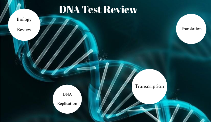 Biology DNA Test Review by Sheana Suek on Prezi
