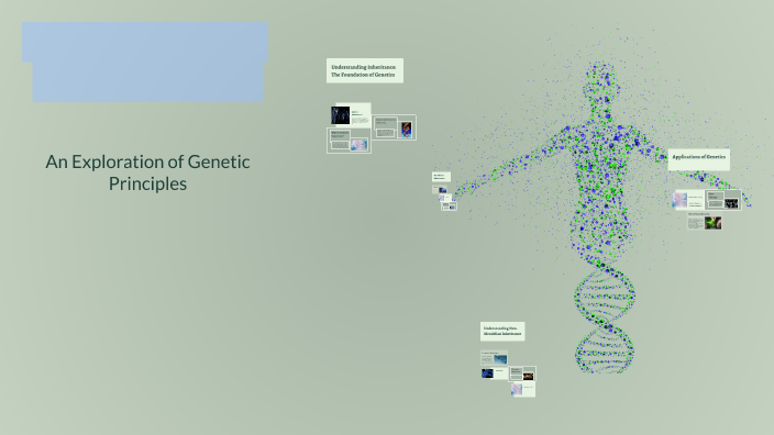 Basic Patterns of Human Inheritance by ة ة on Prezi