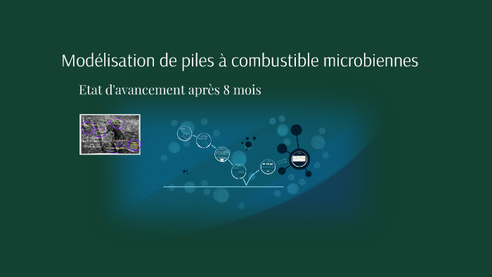 Modélisation de piles à combustible microbiennes by Pierro Loco