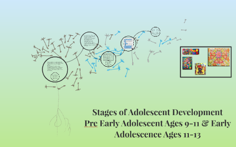 Stages of Adolescent Development by Laura Hayes on Prezi