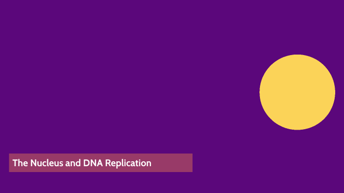 Nucleus and DNA Replication by Angelia English on Prezi