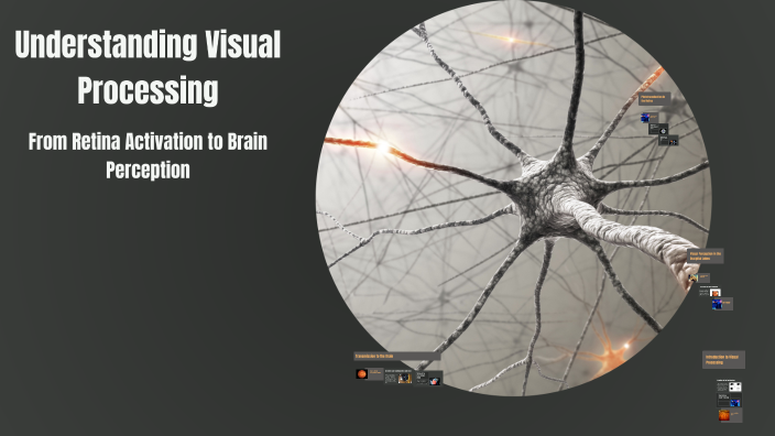 Understanding Visual Processing by Sara Roach on Prezi