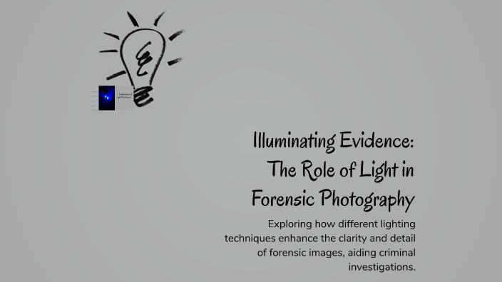 Illuminating Evidence: The Role of Light in Forensic Photography by ...