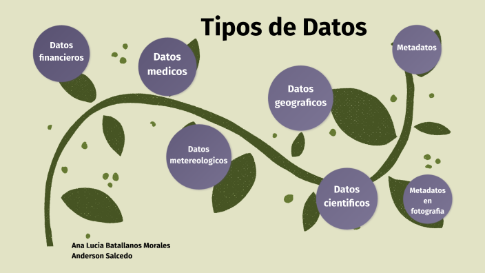 Reconocemos los tipos de datos by Ana Lucía Batallanos Morales on Prezi