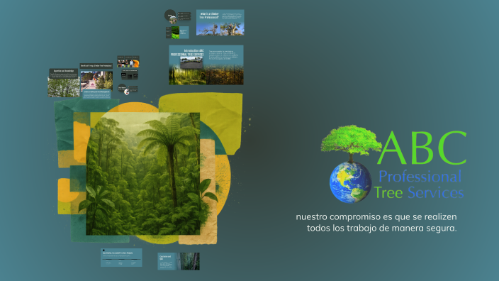 Trees and Climber Tree Professionals by Jose Guzman on Prezi
